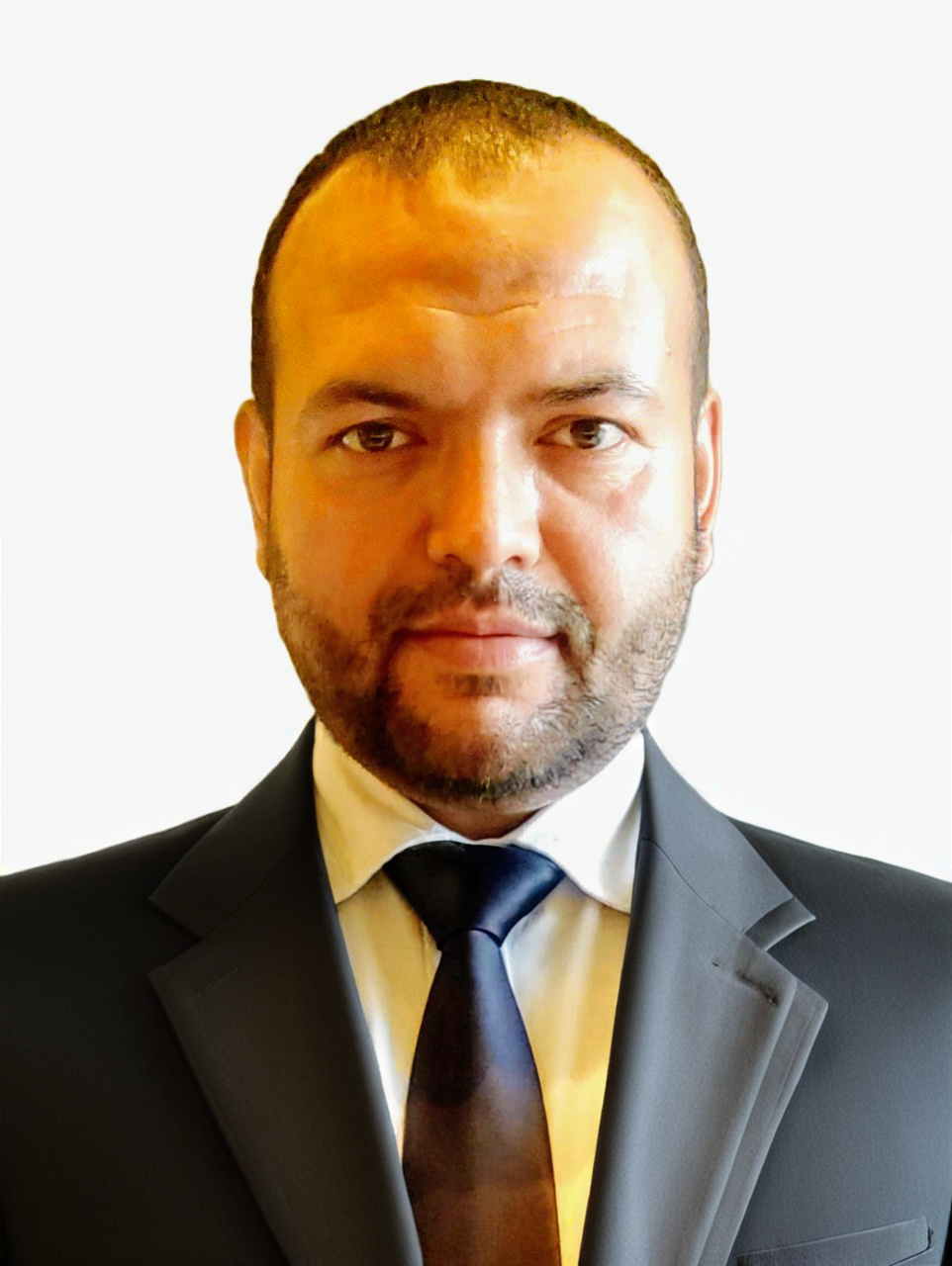 Art from @liger_plaintive_45