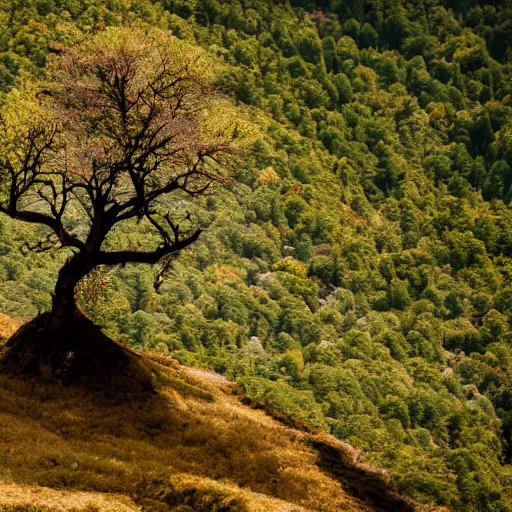 tree on top of a mountain | Stable Diffusion | OpenArt