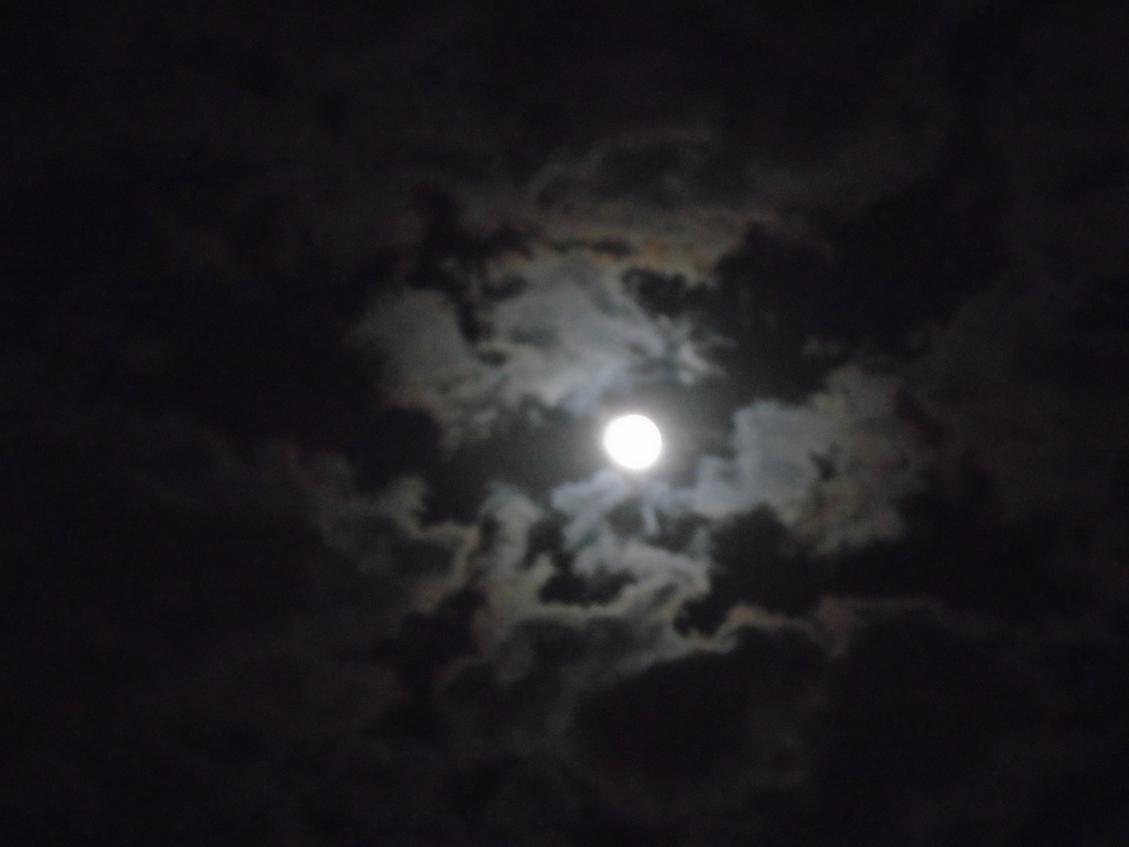 Spooky alien | OpenArt