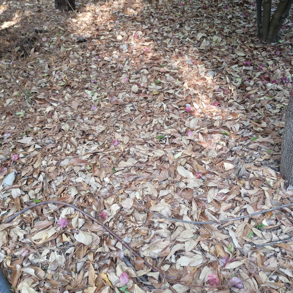 a beautiful and lovely sweet Rigelian alien Swedis... | OpenArt