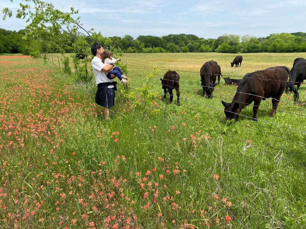A painting of Native Americans wearing knights armor... | OpenArt