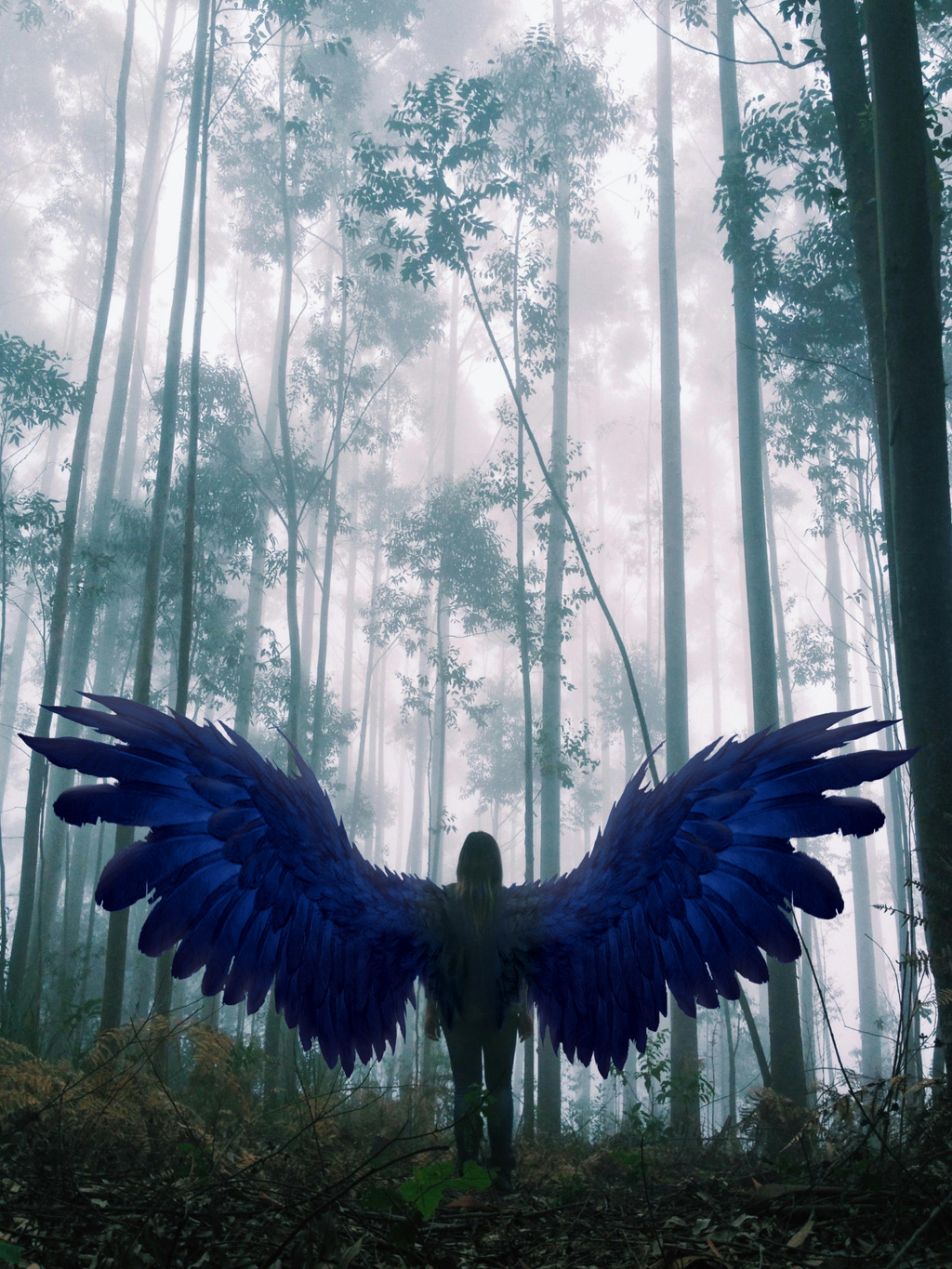 The woman flapping her wings