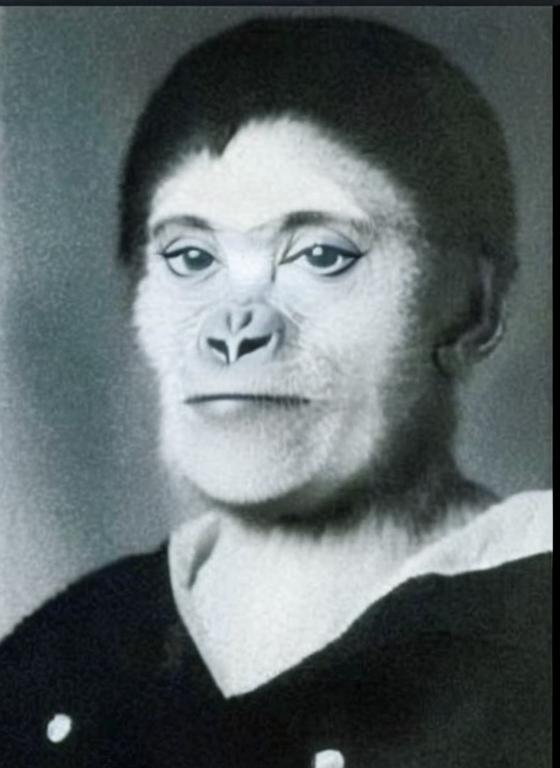 Add monkey like mount | OpenArt