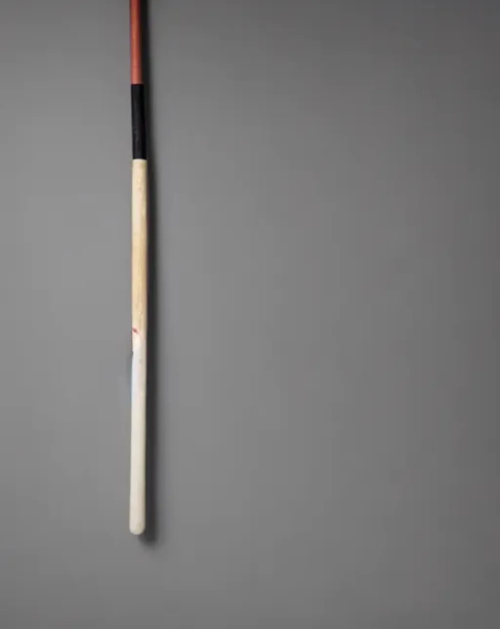 Baseball Bat. Hanging Invisibly from wall. Centered.... | OpenArt