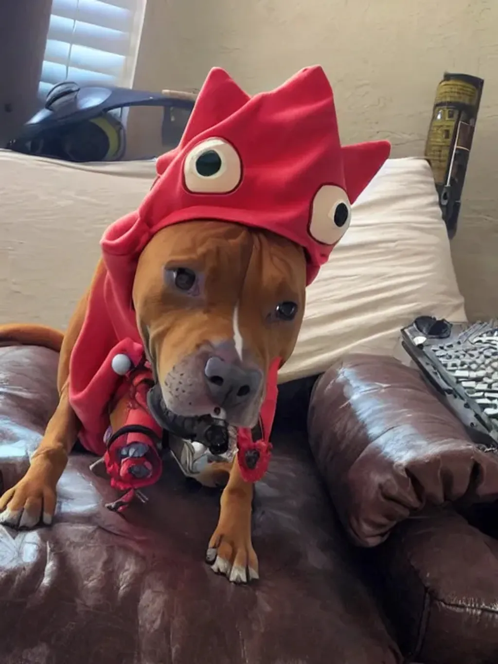 Anime light brown Pit bull in a squid hat cartoon in...