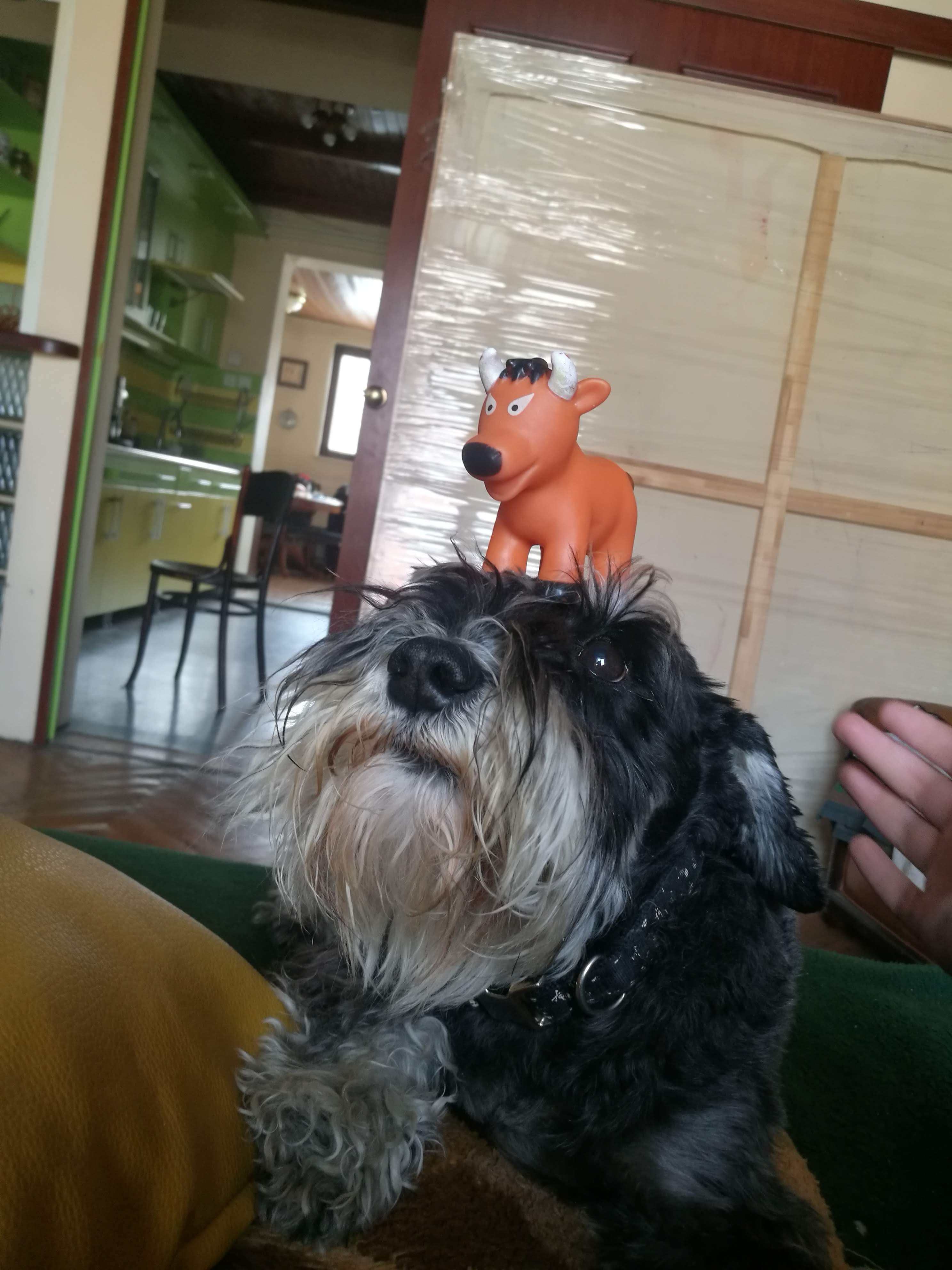 supir | ComfyUI Workflow