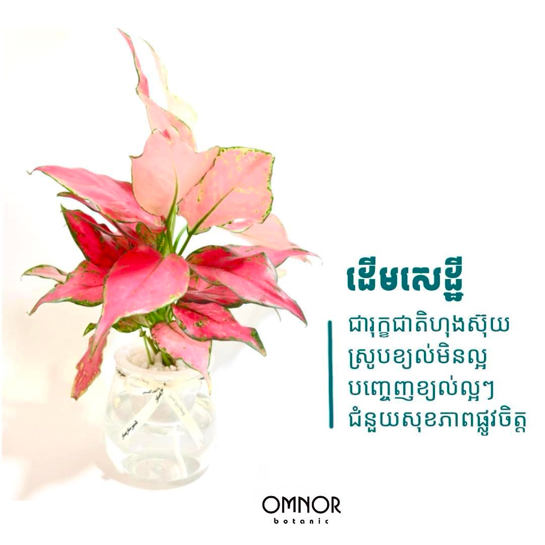 workflow-sd3-basic-image2image | ComfyUI Workflow