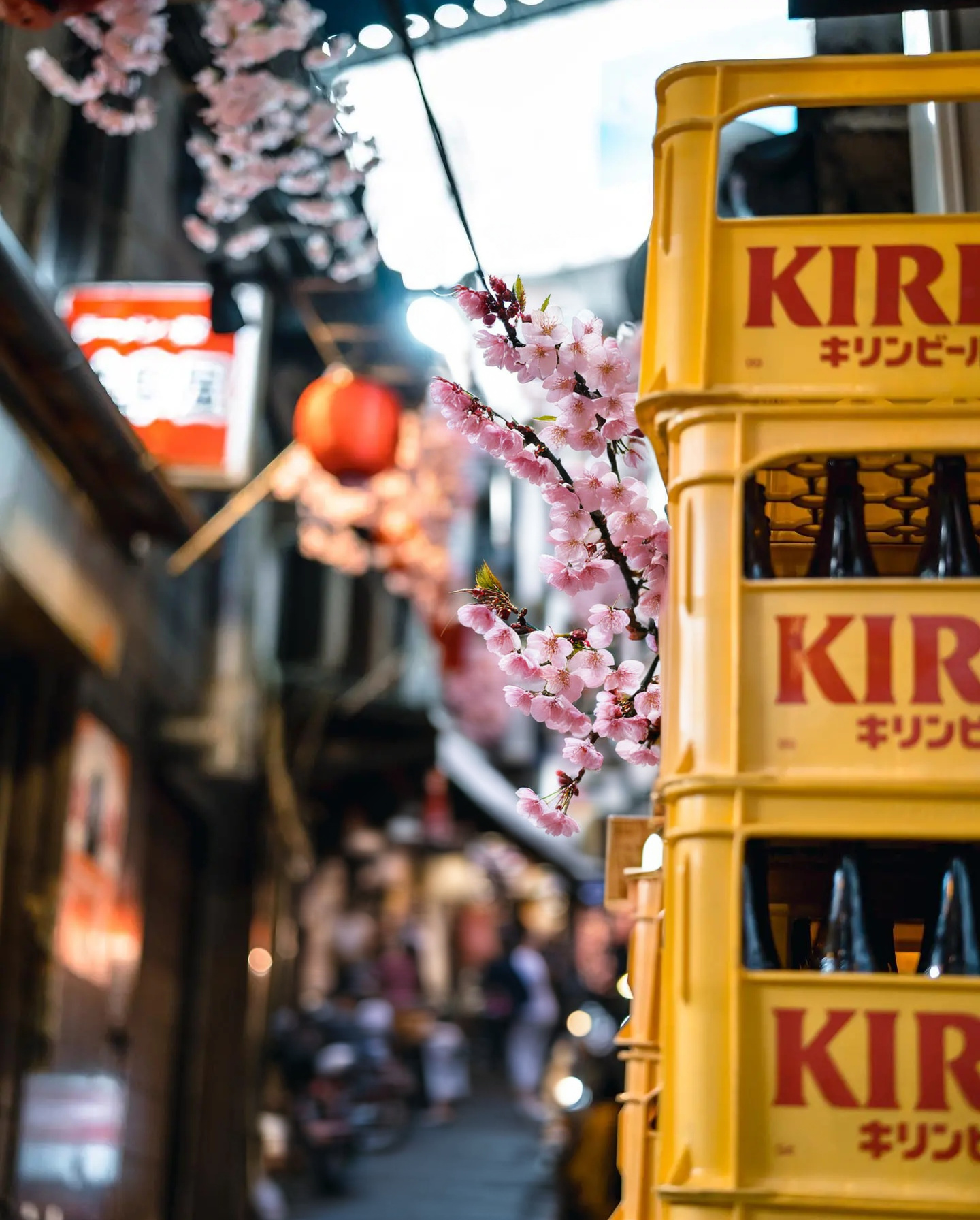 移除画面物体工作流 Object removal workflow | ComfyUI Workflow